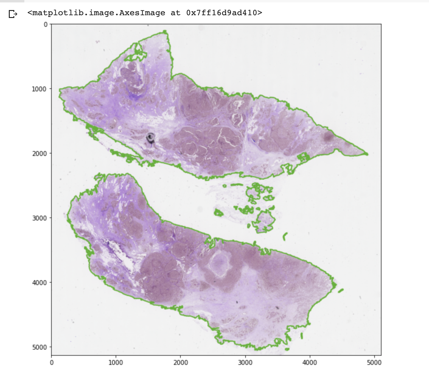使用Colab运行github中的项目_github在线运行项目用的gpu是谁的-CSDN博客