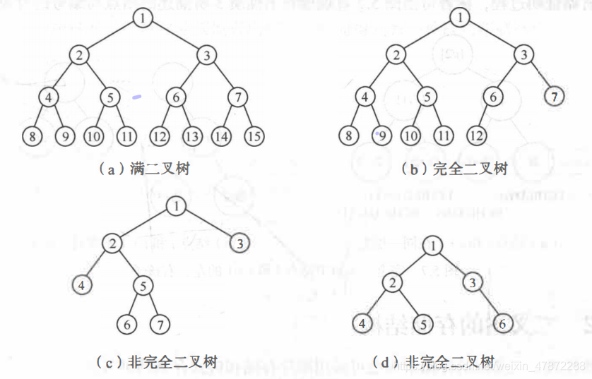【数据结构】树和二叉树详细分析(全)树与二叉树 Csdn博客