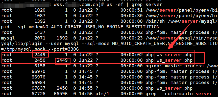 linux 宝塔 nginx php8.0 安装swoole/调试(测试)小白详细图文教程_swoole loader8.0-CSDN博客