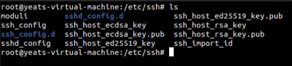 MTPuTTY连接Ubuntu\Linux SSH登陆出现Access Denied错误_ubunt1804远程连接access denied-CSDN博客