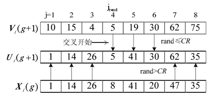 Matlab基于差分进化算法的函数优化分析【matlab优化算法九】matlab中de算法 Csdn博客