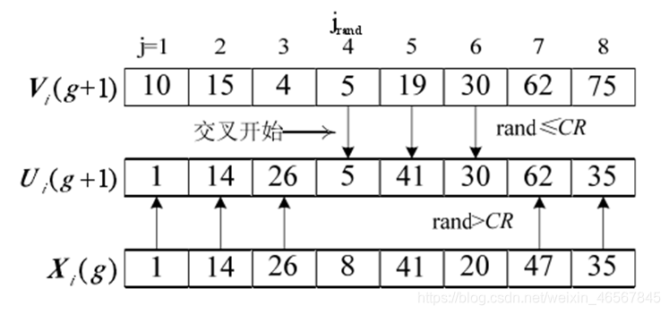 Matlab基于差分进化算法的函数优化分析【matlab优化算法九】matlab中de算法 Csdn博客