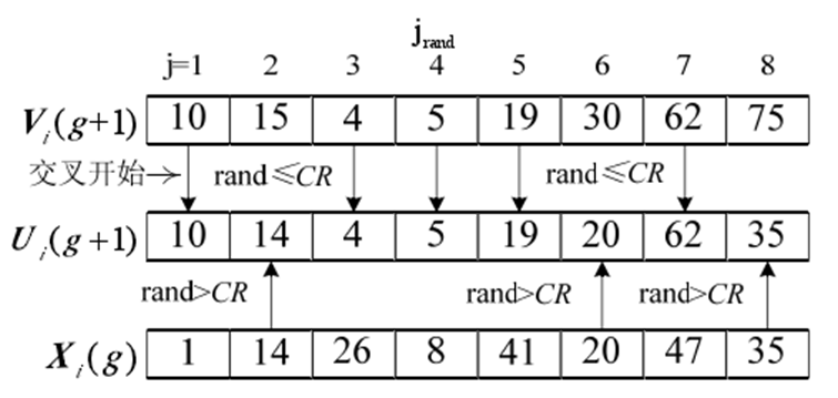 Matlab基于差分进化算法的函数优化分析【matlab优化算法九】matlab中de算法 Csdn博客