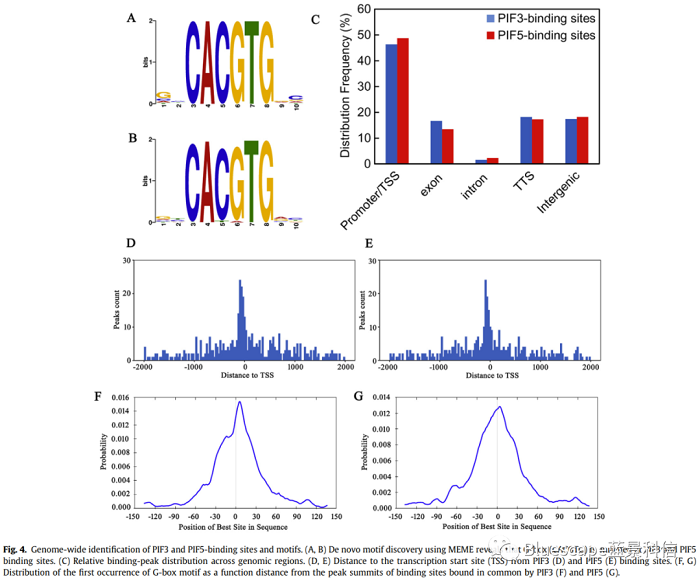 BBRC：DAP-seq解析拟南芥ABA-PIFs信号通路（2020年发表DAP-seq相关文章）-CSDN博客