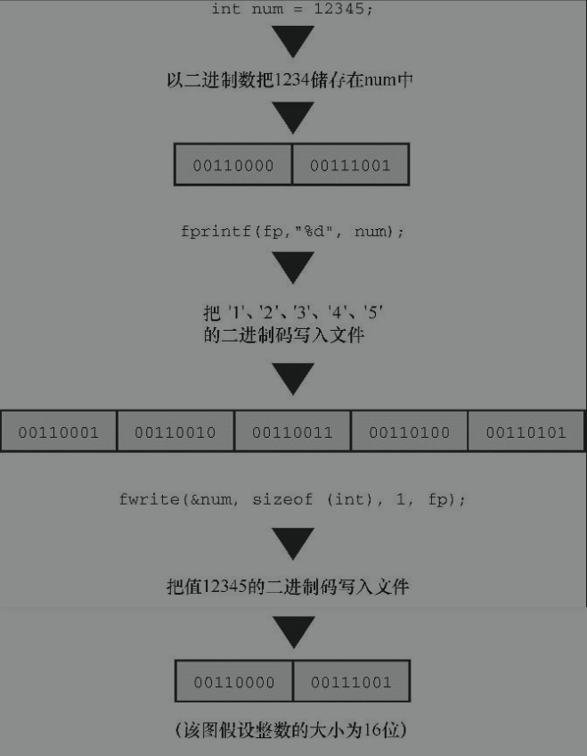 嵌入式linux基础——文件创建、文件拷贝编程实现文件拷贝功能掌握文件的基本编程方法理解main函数的argc、argv参数。 Csdn博客