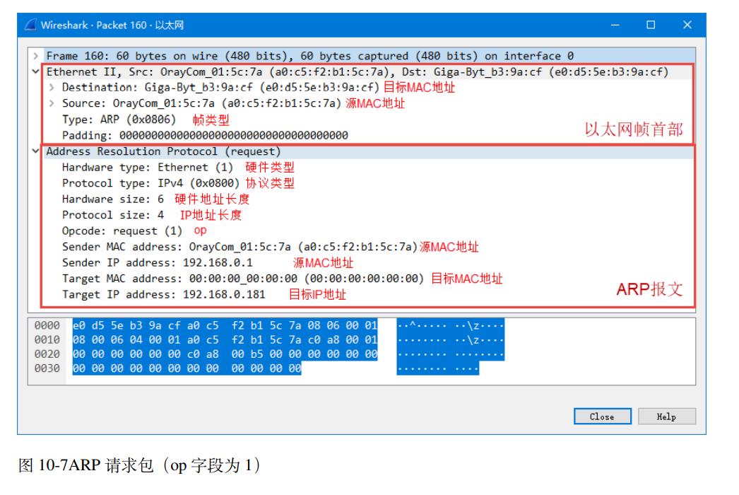 ARP地址解析协议_arp table 大小-CSDN博客