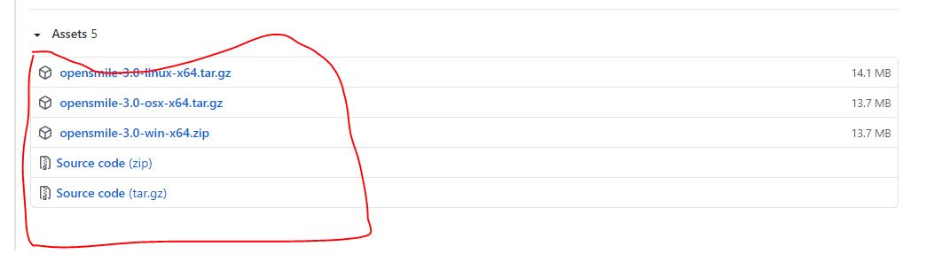 windows使用openSMILE提取音频特征详细示例及批量处理音频_gemaps特征提取-CSDN博客