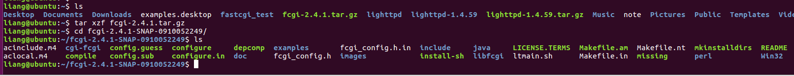 Lighttpd+fastcgi+C语言_if you're trying to run your app as a fastcgi back-CSDN博客