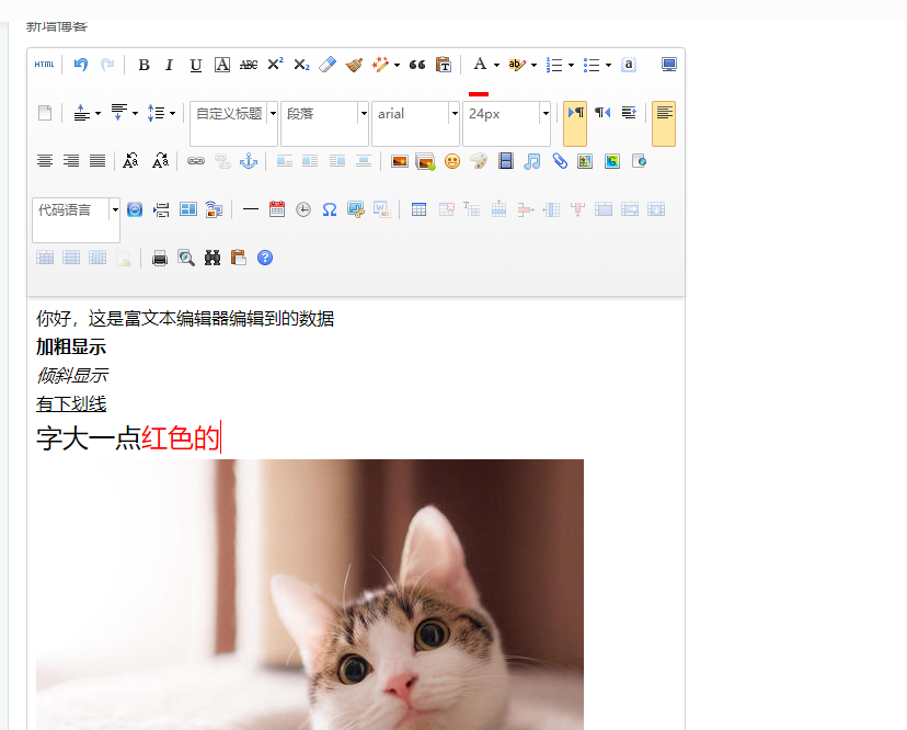 富文本编辑存储及显示 Vuespringboot富文本 内容 展示和编辑 Csdn博客 