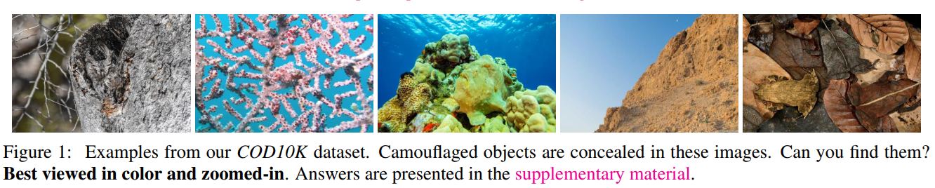 Camouflaged Object Detection-CSDN博客