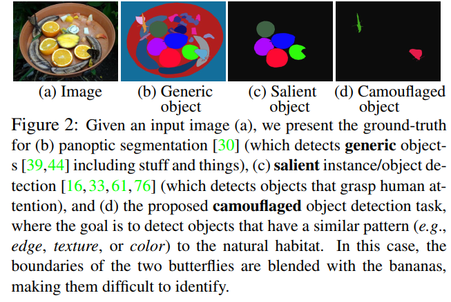 Camouflaged Object Detection-CSDN博客