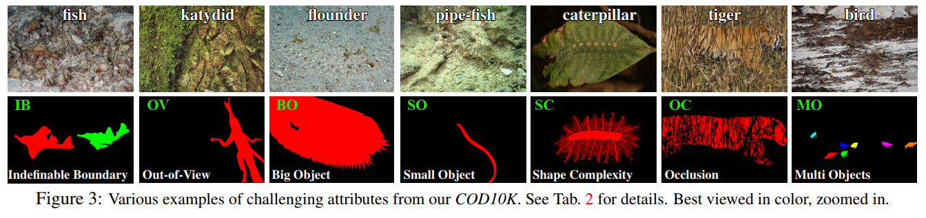 Camouflaged Object Detection-CSDN博客