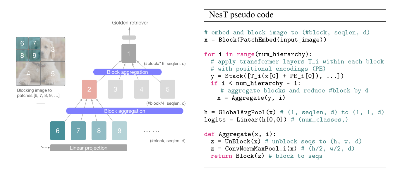 论文：NesT （Aggregating Nested Transformers）-CSDN博客