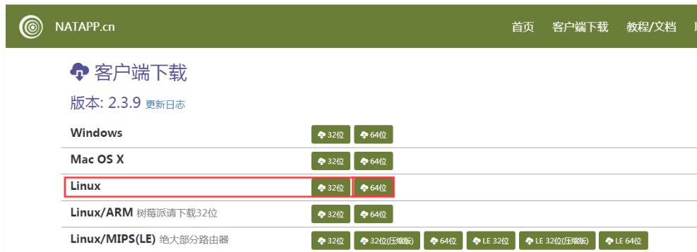 内网穿透工具natapp的安装部署教程（含linux）_linux安装natapp-CSDN博客