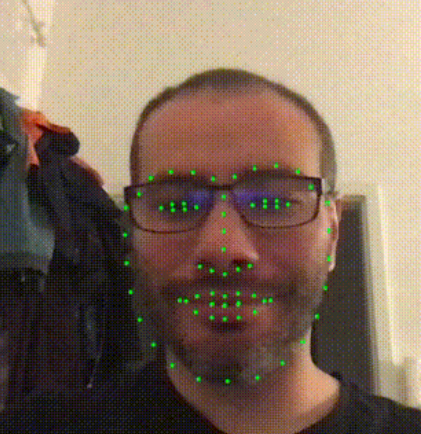 基于opencv和shape_predictor_68_face_landmarks.dat的人脸识别监测_c#根opencv据68特征点判断人脸方向-CSDN博客