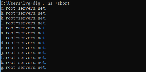进阶DNS了解_rndc reload-CSDN博客