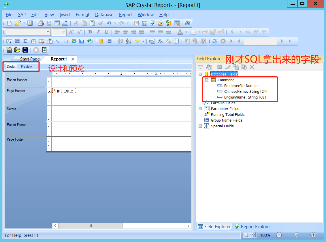 Crystal Reports - New Report_crystal reports picture-CSDN博客