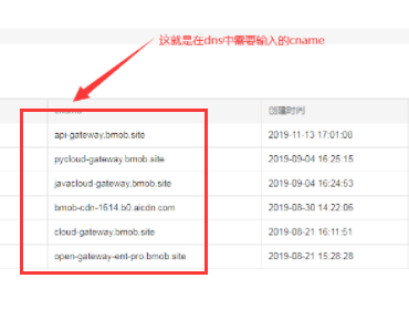 Bmob域名绑定教程_bomb 域名绑定-CSDN博客