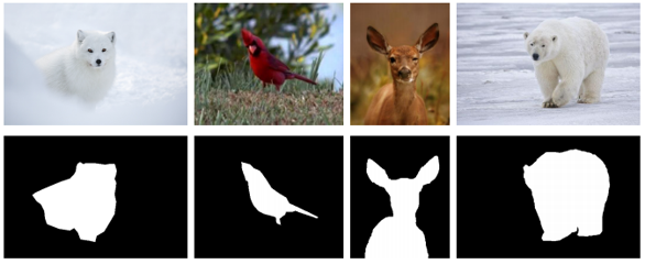 论文阅读：Uncertainty-aware Joint Salient Object and Camouflaged Object Detection-CSDN博客