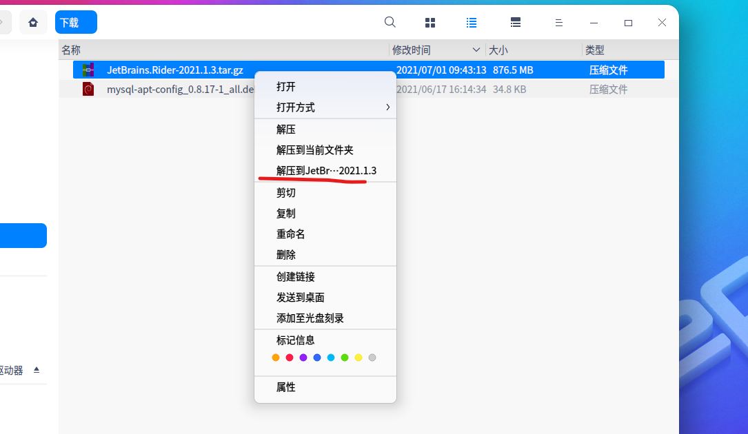 手把手教你在Linux(Deepin)使用Rider开发.net项目_jetbrains rider linux-CSDN博客