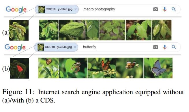 Camouflaged Object Detection-CSDN博客