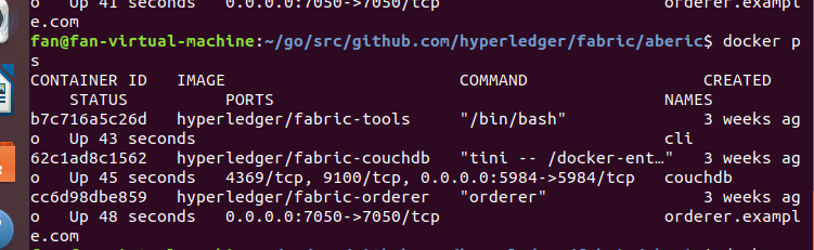 关于手动配置fabric1.4时peer节点无法启动的解决方案_fabric-peer 启动不起来-CSDN博客