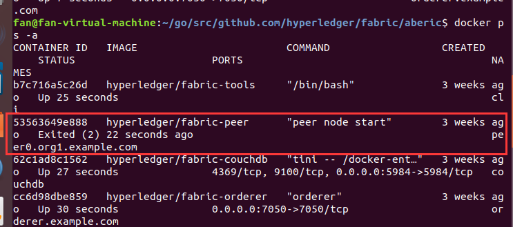 关于手动配置fabric1.4时peer节点无法启动的解决方案_fabric-peer 启动不起来-CSDN博客
