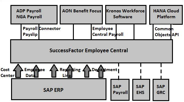 SAP SuccessFactors 功能介绍_sap sf-CSDN博客