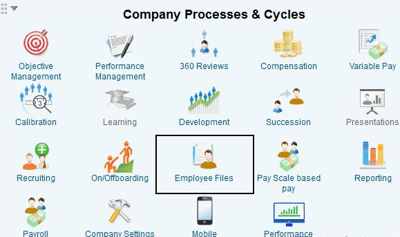 SAP SuccessFactors 功能介绍_sap sf-CSDN博客