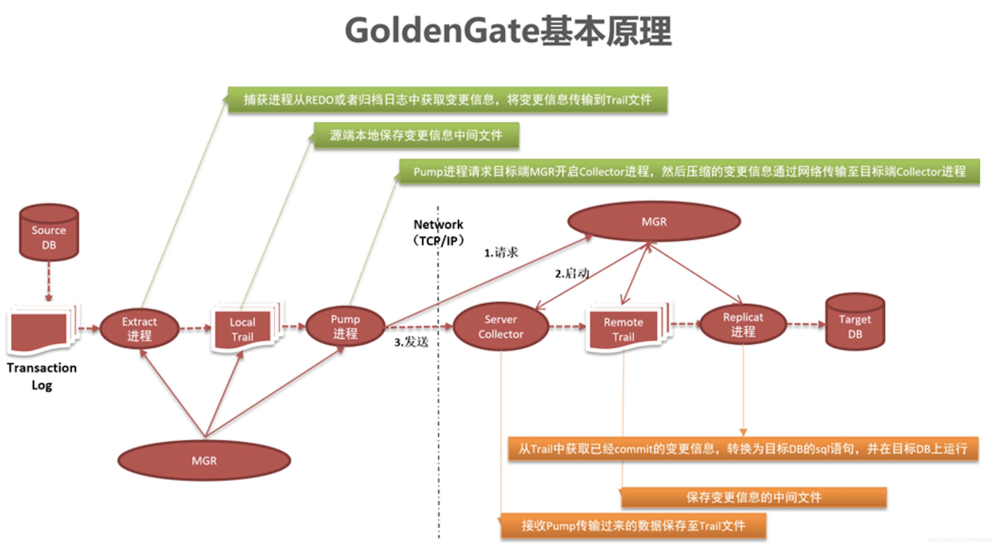 Oracle GoldenGate（OGG）基础知识整理_oracle goldengate原理-CSDN博客