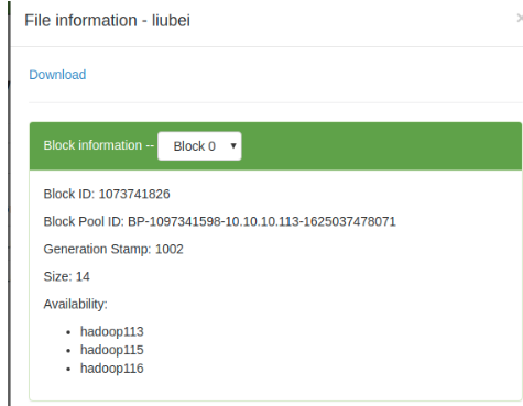 Hadoop-HDFS的DataNode介绍及原理_hadoop datanode-CSDN博客