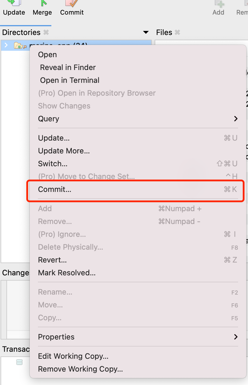 本地项目第一次上传到SmartSvn_smartsvn commit-CSDN博客