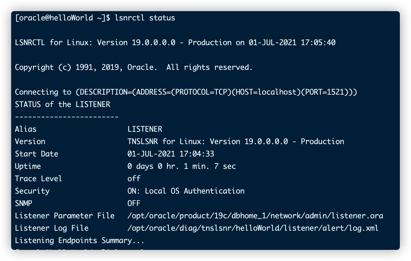 oracle 19c 执行startup命令时报错 ORA-01078: failure in processing system parameters,LRM-00109: could ...