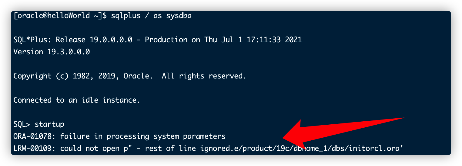 oracle 19c 执行startup命令时报错 ORA-01078: failure in processing system parameters,LRM-00109: could ...