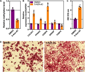 易基因 - WGBS跟RRBS如何选择？表观DNA甲基化和转录调控结果关联思路-CSDN博客