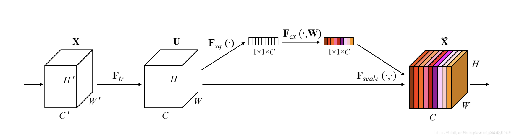 Pytorch：注意力机制selayer的代码实现 Csdn博客 