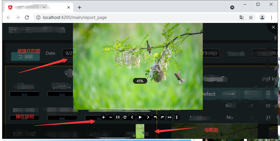 Angular中引入viewerjs实现图片查看器ngx Image Viewer Csdn博客