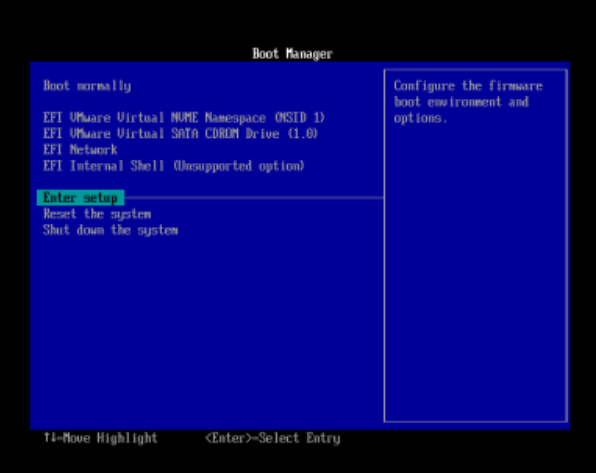 VMware16安装Win10系统出现Boot Manager界面的解决方案_vm安装win10 boot manager怎么选-CSDN博客