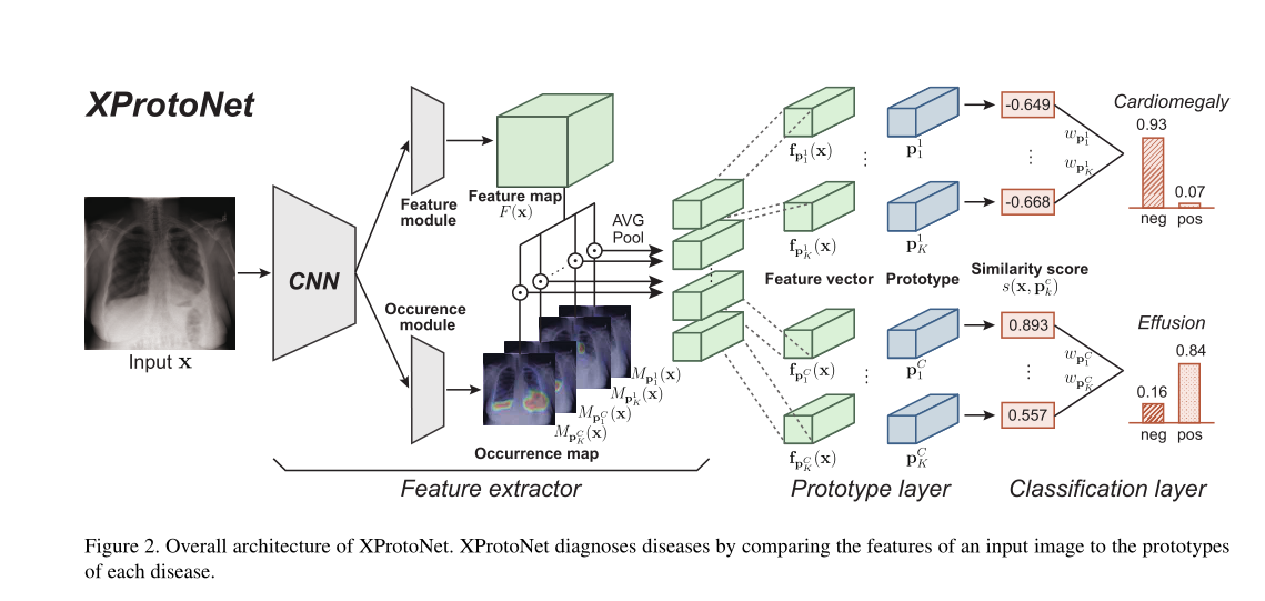 可解释网络protopnet，xprotopnet-CSDN博客