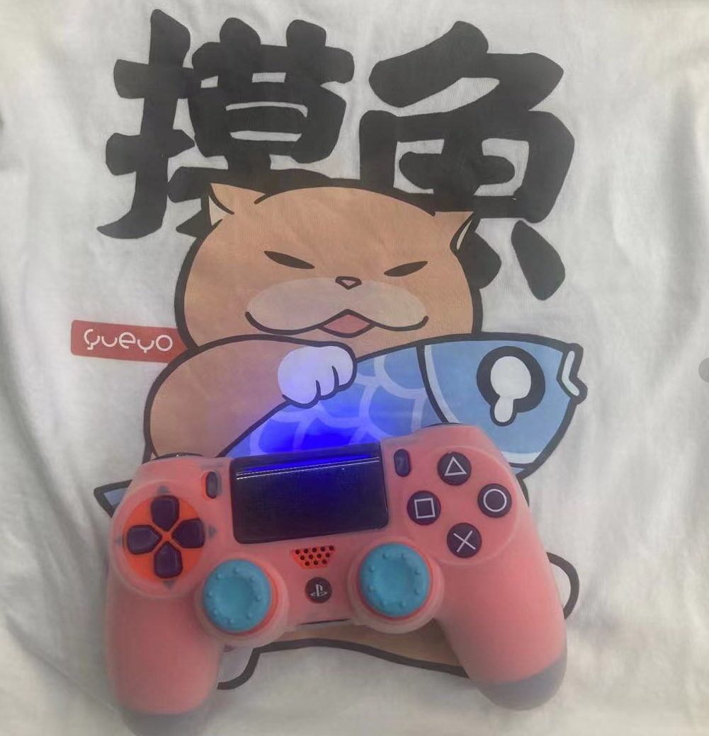 ubuntu 解析控制 PS4手柄_pyps4controller-CSDN博客