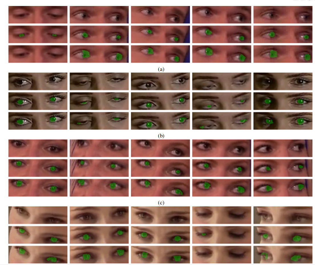 【视线估计】Realtime and Accurate 3D Eye Gaze Capturewith DCNN-based Iris and Pupil Segmentation_视线预测 ...