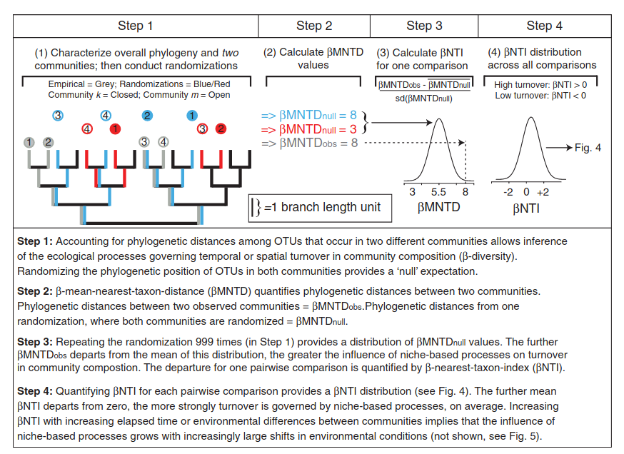 R语言并行计算beta-NTI值_尾nti-CSDN博客
