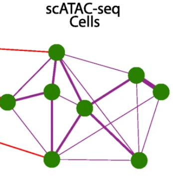 scATAC-seq 细胞（based scRNA-seq）注释_scatac-seq单细胞注释方法-CSDN博客