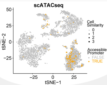 scATAC-seq 细胞（based scRNA-seq）注释_scatac-seq单细胞注释方法-CSDN博客