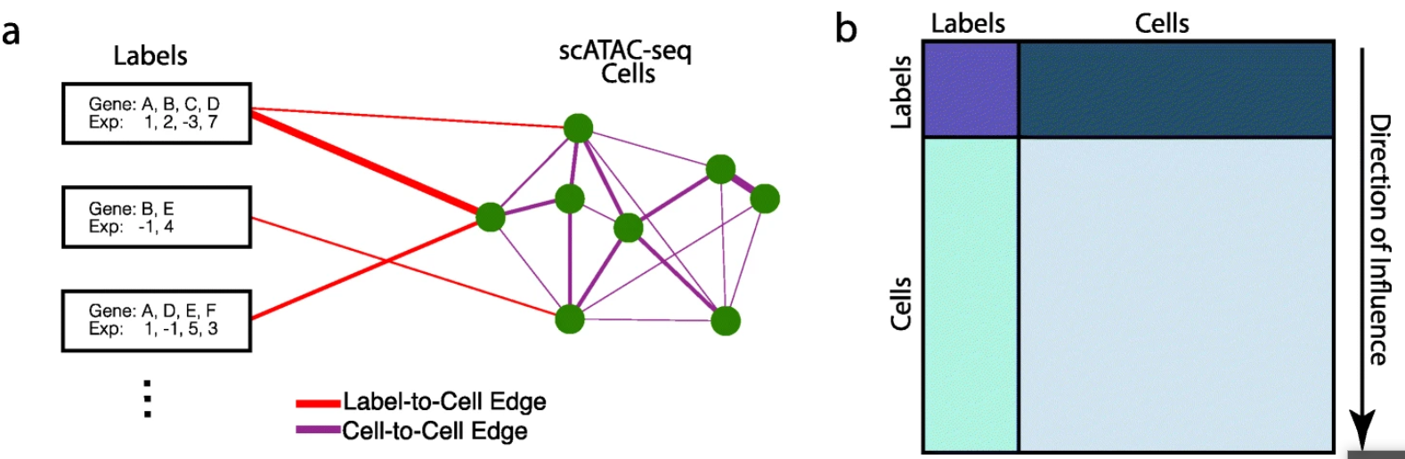 scATAC-seq 细胞（based scRNA-seq）注释_scatac-seq单细胞注释方法-CSDN博客