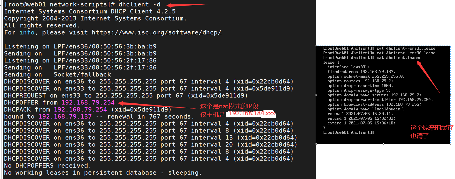 VMware仅主机模式 ，DHCP无法获取Ip ，No DHCPOFFERS received处理方法-CSDN博客