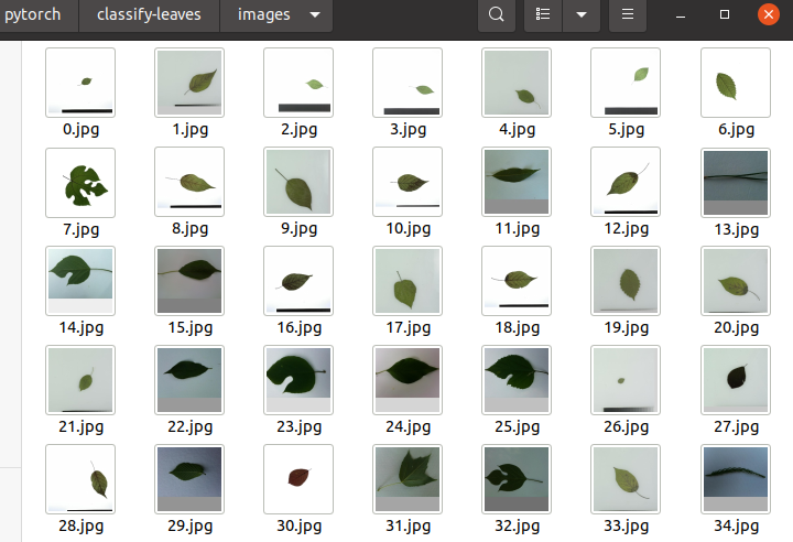 python深度学习图像处理CSV文件分类标签图片到各个文件夹_读取csv文件,将不同图片保存在指定文件夹python-CSDN博客