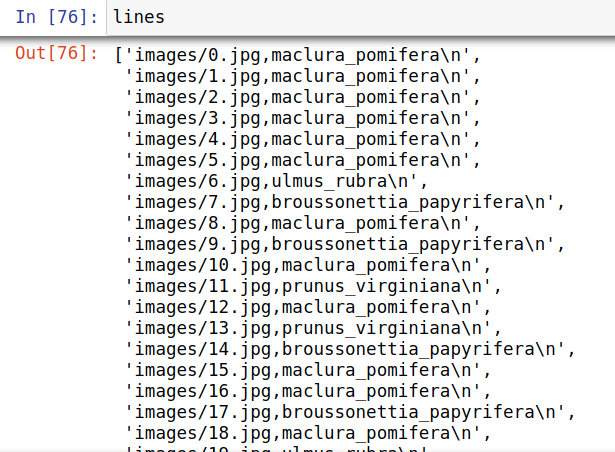 python深度学习图像处理CSV文件分类标签图片到各个文件夹_读取csv文件,将不同图片保存在指定文件夹python-CSDN博客