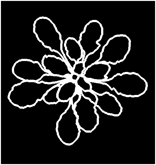 Pytorch提取骨架（可微）pytorch 图像细化 Csdn博客 