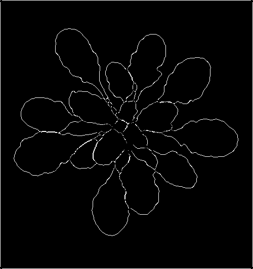 Pytorch提取骨架（可微）pytorch 图像细化 Csdn博客 